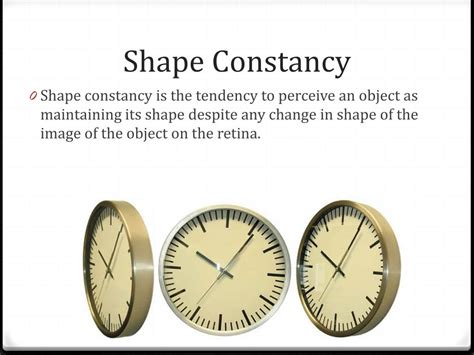Image result for Shape Constancy Example