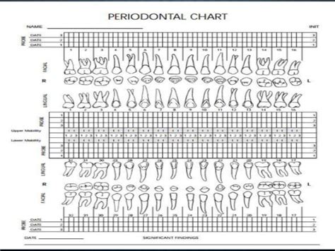 Image result for Downloadable Perio Chart