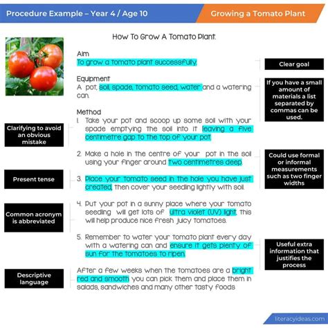 Image result for Image Sample of a Procedural Text