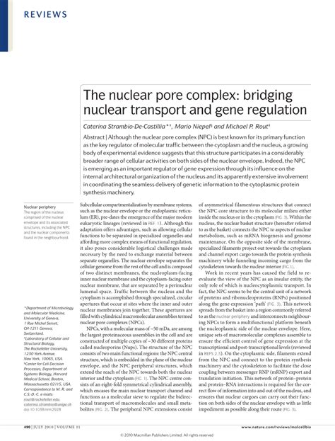 Image result for Nuclear Pore Complex Translation