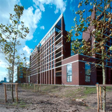 Image result for Java Island Amsterdam