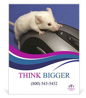 Image result for Mouse Function in Computer Poster