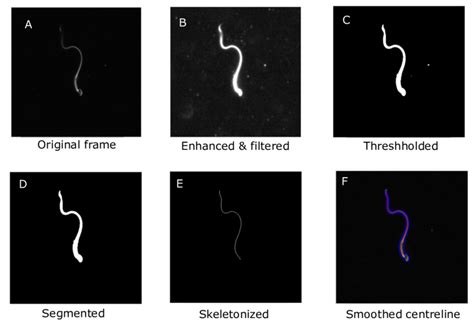 Image result for Image Processing Levels Algorithm Equation