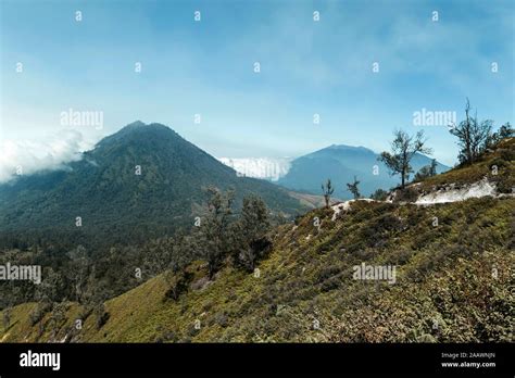 Image result for Island of Java