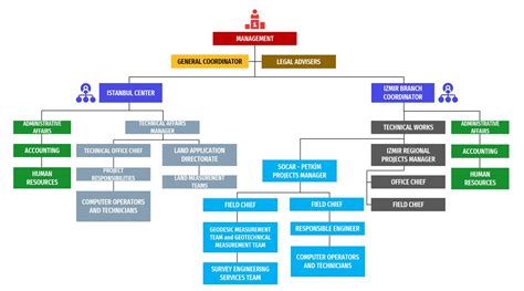 Image result for Function of Management Chart