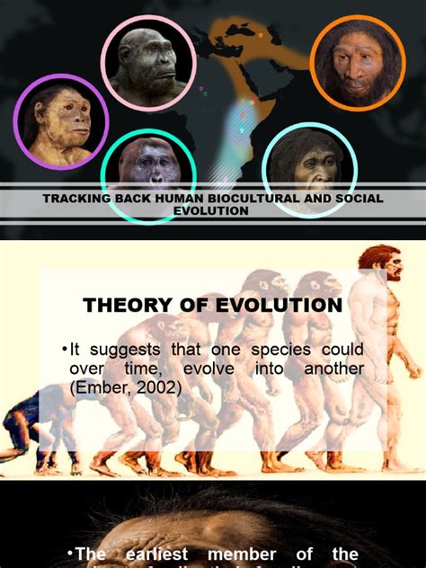 4 - Tracking Human Biocultural and Social Evolution | PDF | Homo | Lucy ...