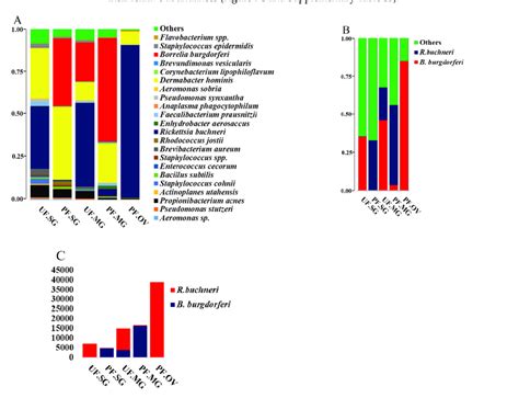 Image result for Microbial Profiling of the Samples