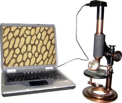 Image result for iOptron Microscope