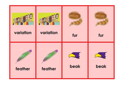 Image result for Variation Science