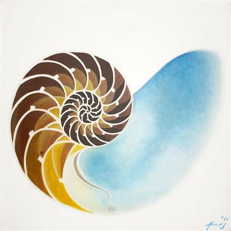Nautilus Shell Painting at PaintingValley.com | Explore collection of ...