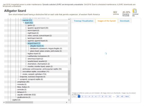 Image result for ImageNet Class