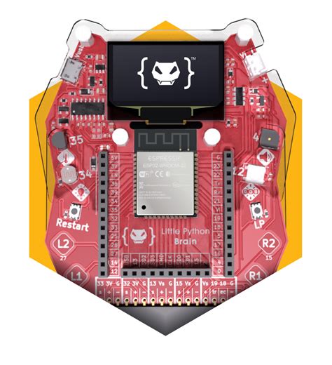 Image result for Python by Magnet Brain