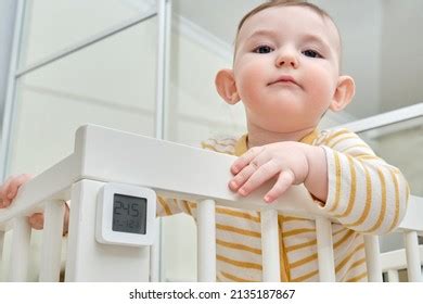 Image result for Types of Humidity Indicator