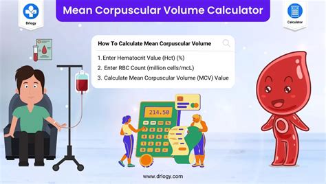 Image result for MCV Calculation