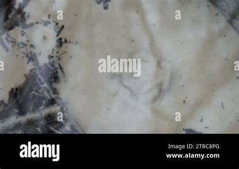 Image result for Springing Upseer