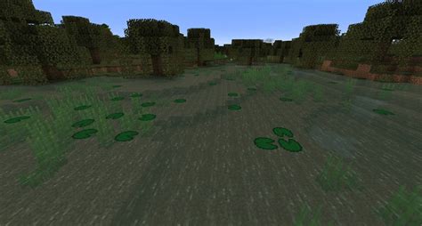 Image result for Minecraft Swamp Biome On Map