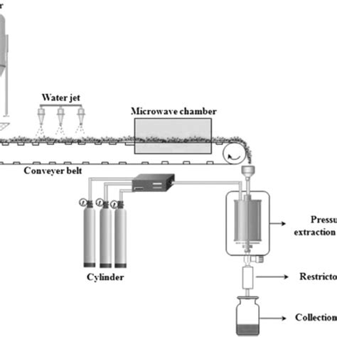 Image result for Microwave Extraction