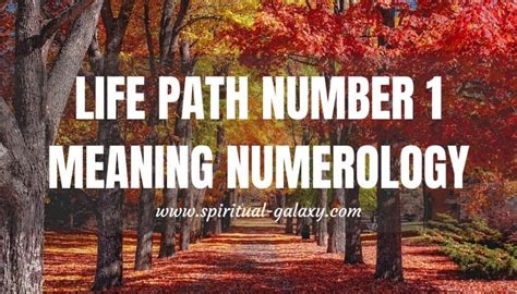 Image result for Life Path 1 Symbol