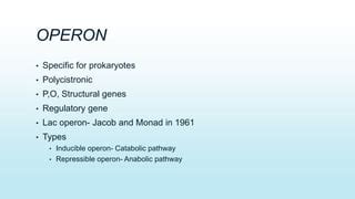 Image result for Operon PPT