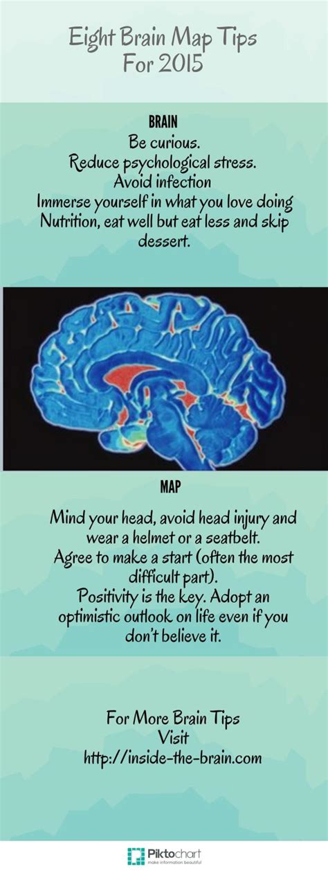 Image result for Brain Map