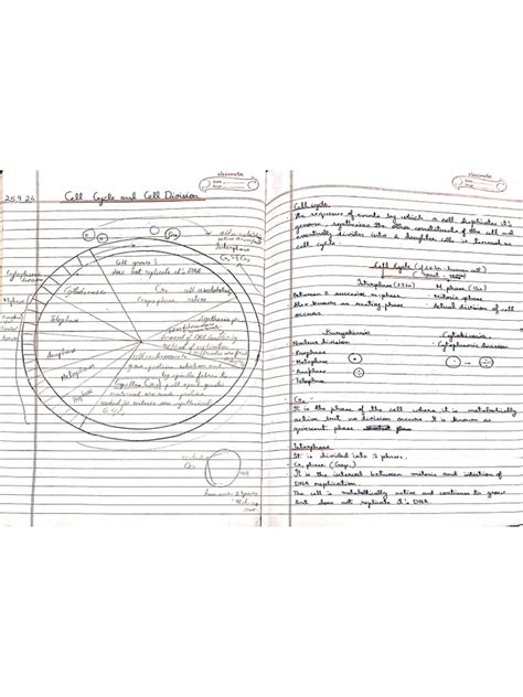 Image result for Cell Class 11 Notes