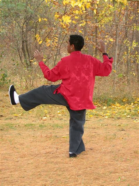 Image result for Yang Style Short Form Lesson 1 8