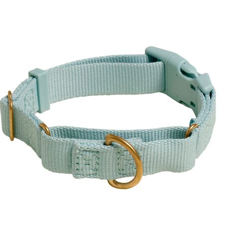 Image result for Metal Collars for Dogs