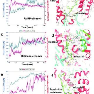 Image result for Protein Interactions Simulating Software