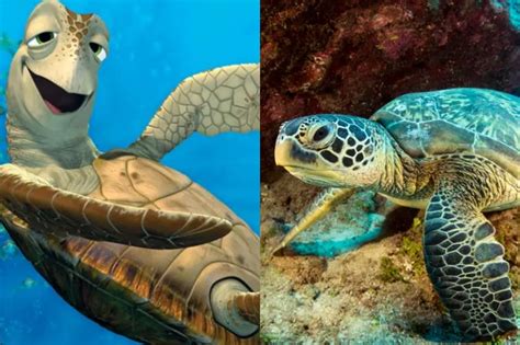 Image result for Finding Nemo Light Fish