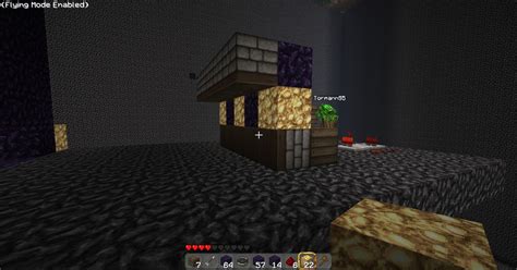 Image result for Minecraft Machine That Changes Block IDs