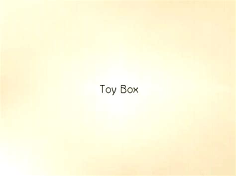 Image result for NetBox Toy