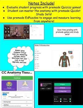 Image result for Endocrine System Crash Course Notes