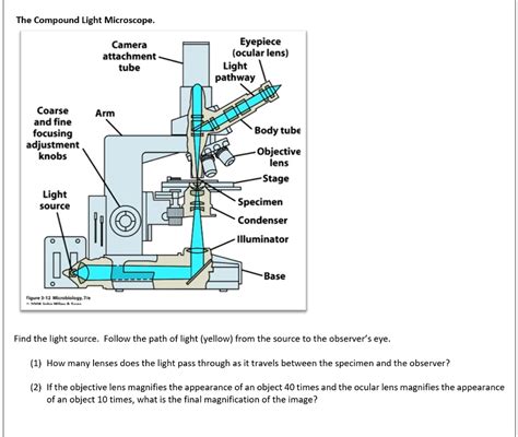 Image result for Light Microscope Magnification