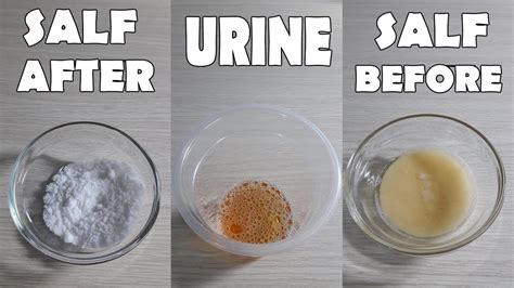 Image result for Pregnancy Test Using Salt Images