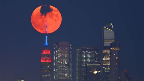 Image result for Camera Zoom Example