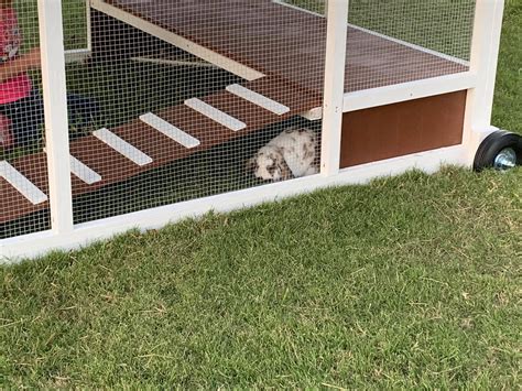 Image result for Rabbit Tractor Design