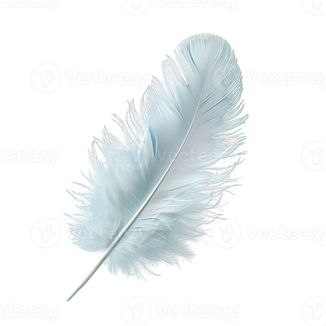 Image result for Feather Python