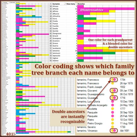 Image result for Color Coding Ancestry Easy