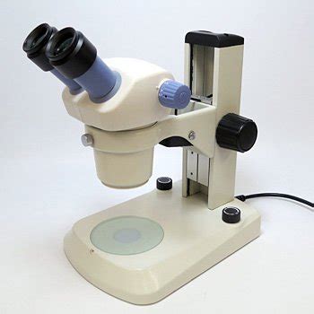 Image result for Stereo Microscope Magnification