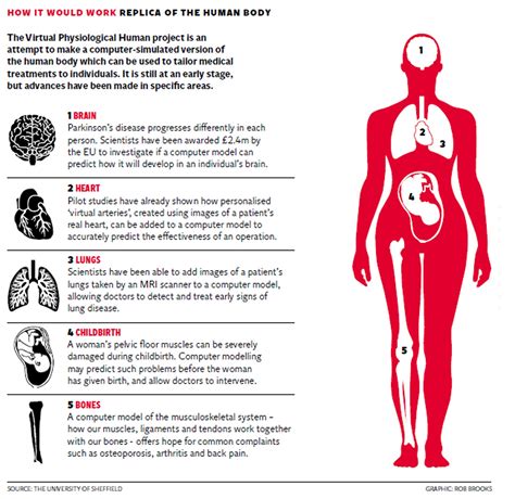 Image result for Human Simulation