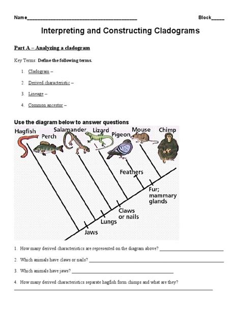 Image result for How to Make Cladogram