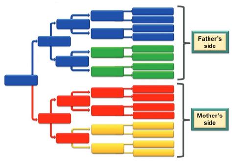 Image result for Color Coding Ancestry Easy