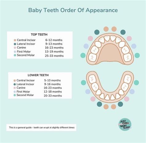 Image result for Teething Chart