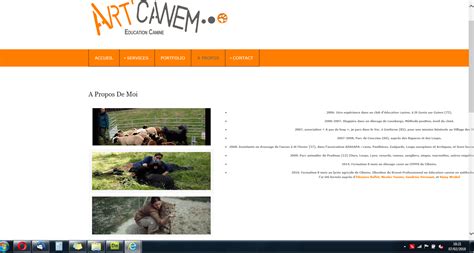 Image result for Tableau HTML/CSS