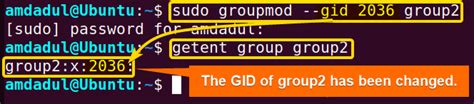 Image result for Groupmod Command in Linux with Examples