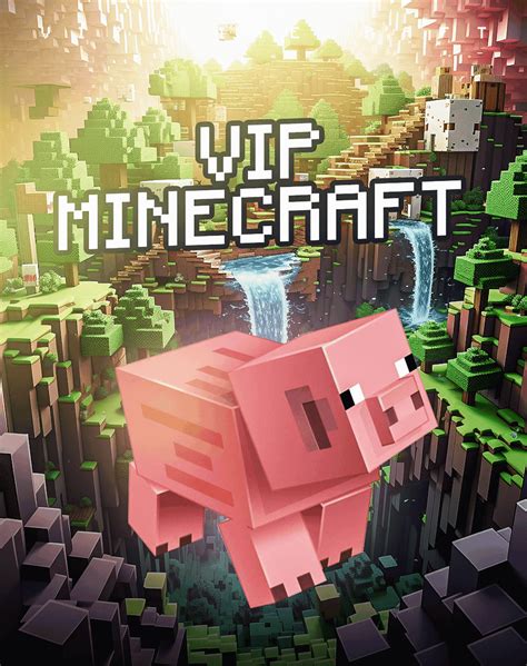 Image result for VIP Minecraft