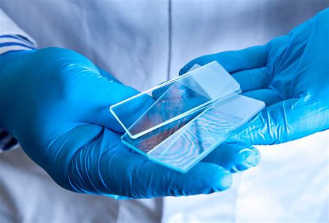 Image result for Preparing Simple Microscope Slides