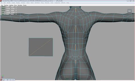 Image result for Modellazione 3D Tutorial