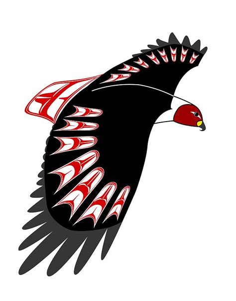 Image result for Native Hawk Drawing