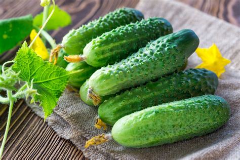 Image result for How to Manually Pollinate Cucumbers